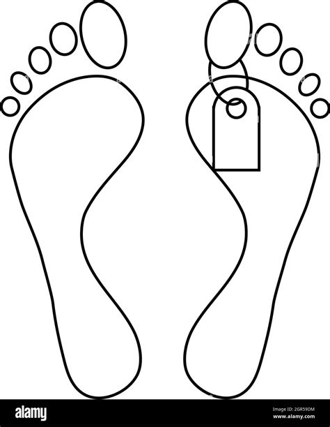 Outline Of A Human Body Hi Res Stock Photography And Images Alamy