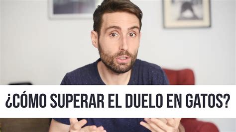 Cómo ayudar a mi gato a superar su duelo por la pérdida de su