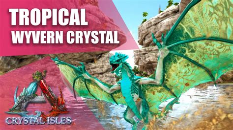 TROPICAL WYVERN CRYSTAL TAMEO ATAQUES BUG ARK CRYSTAL ISLES YouTube