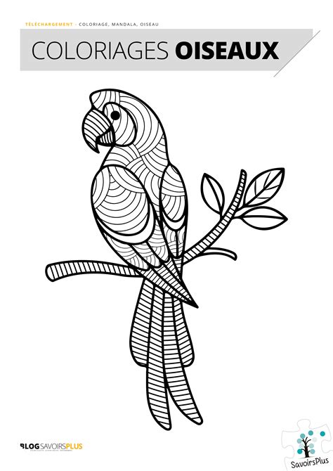 Téléchargement Coloriages mandalas oiseaux Le blog SavoirsPlus