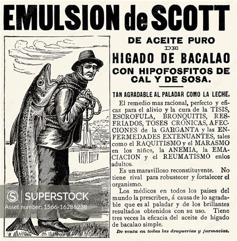 19th Century Spanish Advertisement For Emulsion De Scott Scott S