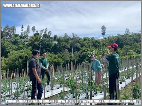Pengembangan Pertanian Organik Di Desa Menuju Sistem Pertanian Yang