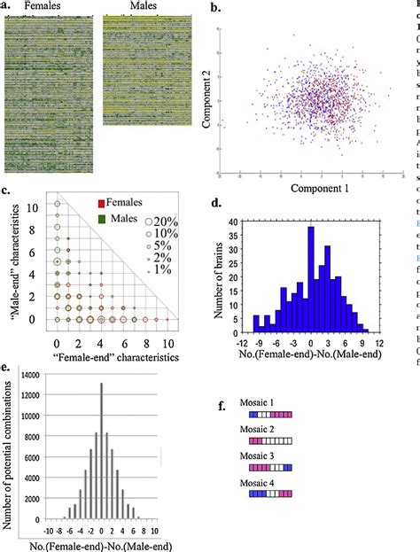 figure 3 from beyond the binary rethinking sex and the brain semantic scholar