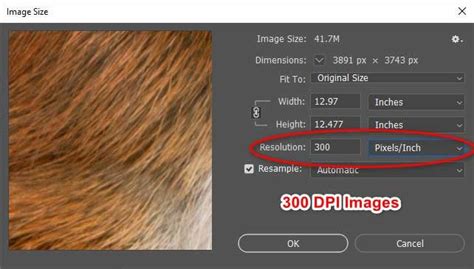 How To Convert Images To Dpi Clipping Photo Experts