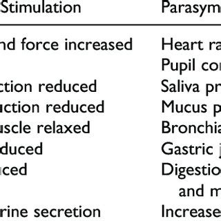 Autonomic Nervous System Example