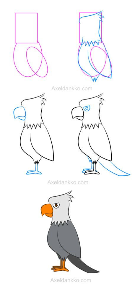 How To Draw An Eagle Comment Dessiner Un Aigle Art Drawings For