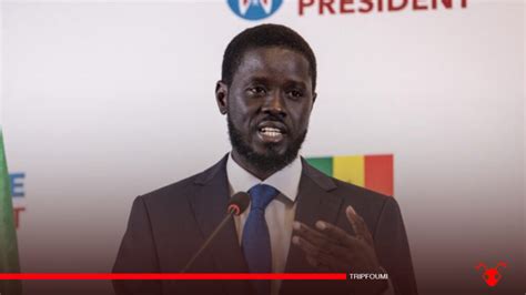 S N Gal Bassirou Diomaye Faye Proclam Pr Sident Par Le Conseil