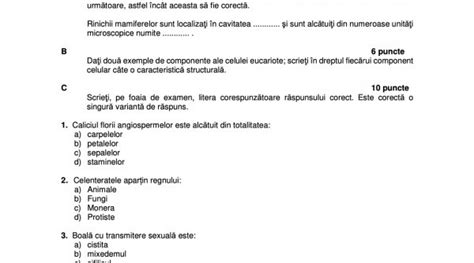 Subiectele La Biologie De La Bacalaureat Au Fost Publicate