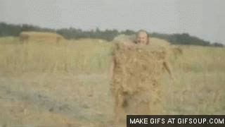 Hay Blank Template Imgflip