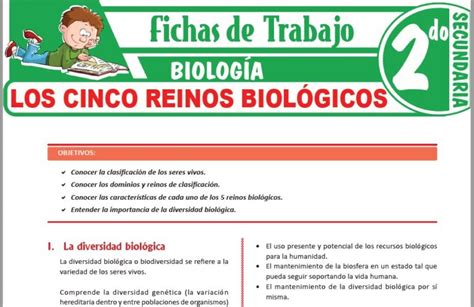 Los Reinos Biologicos Para Primer Grado De Secundaria Determinar Las