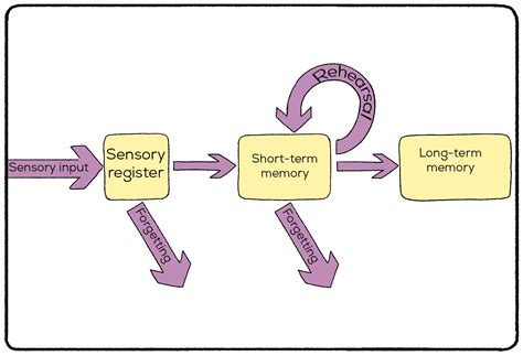The Spacing Effect In Learning And Retention Practical Psychology