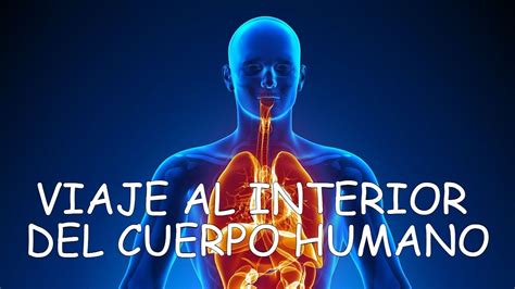 VIAJE AL INTERIOR DEL CUERPO HUMANO I SEGUNDA PARTE I DOCUMENTAL YouTube