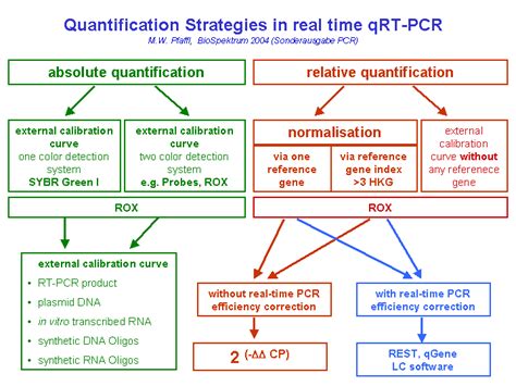 Gene Quantification Real Time Pcr Quantification Strategy The