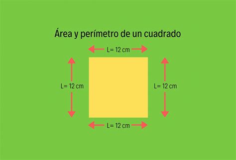 Sabes calcular el área y el perímetro de un cuadrado Yo Soy Tu Profe