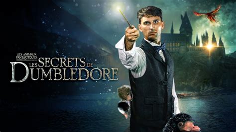 La Suite De Trop Les Animaux Fantastiques Les Secrets De Dumbledore