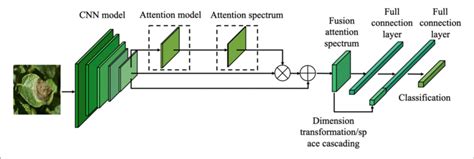 fine grained image classification network structure of crop diseases download scientific