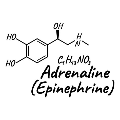humano hormona adrenalina epinefrina concepto químico esquelético