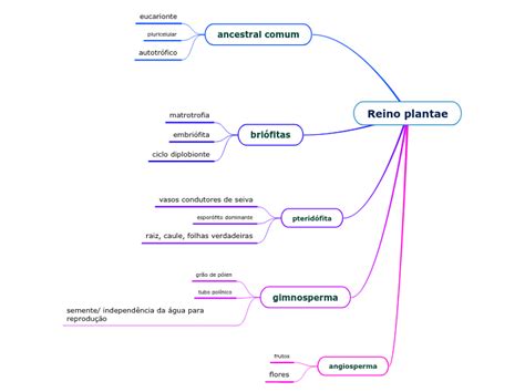 Arriba Imagen Reino Plantae Mapa Mental Abzlocal Mx