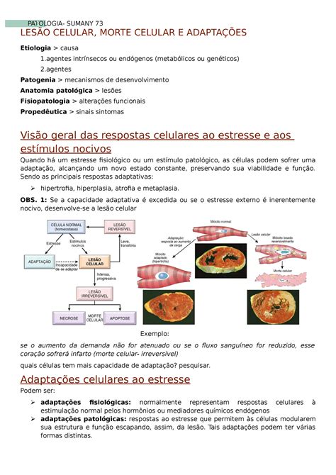Lesão Celular Robbins Patologia Básica9 LESÃO CELULAR MORTE