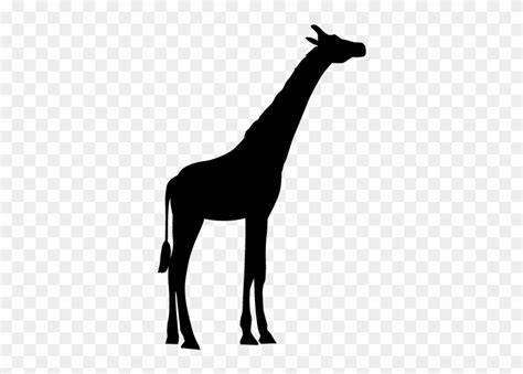 Detail Giraffe Silhouette Png Koleksi Nomer 14