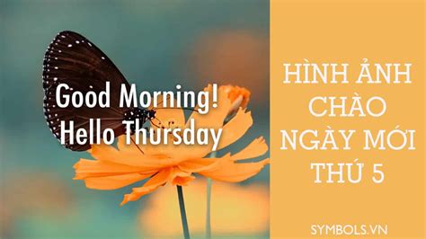 Bộ Sưu Tập Hình Ảnh Chào Buổi Sáng Cực Chất Full 4K Với 999 Hình Ảnh
