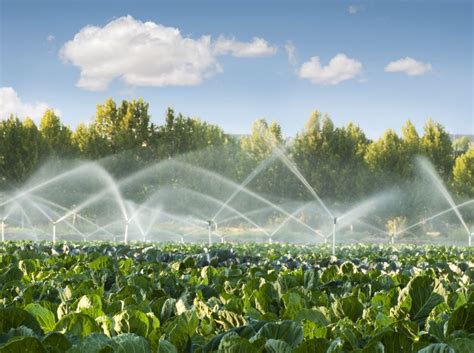 Water Uses Agricultural Purposes Farming Irrigation Garden