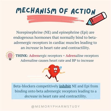 Beta Blockers Memory Pharm Beta Blockers Adrenergic Receptors