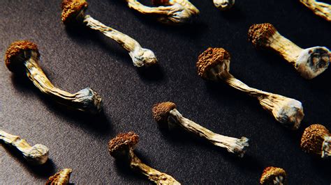 Oregon ya permite la terapia con hongos alucinógenos pero no quiere