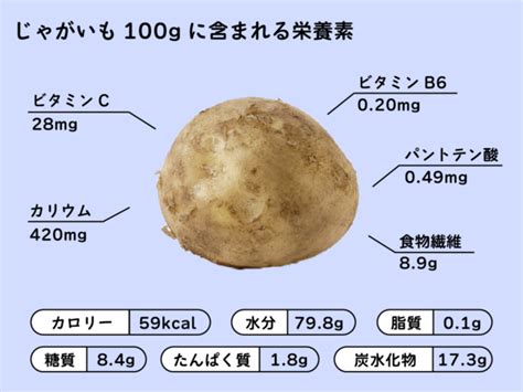 じゃがいものビタミンC含有量は壊れやすい茹でたり加熱すると減る Fily