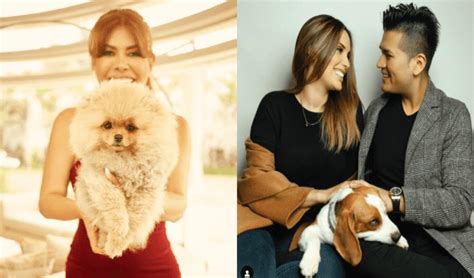 Magaly Medina Sobre Albergue Donde Estaban Las Mascotas De Deyvis