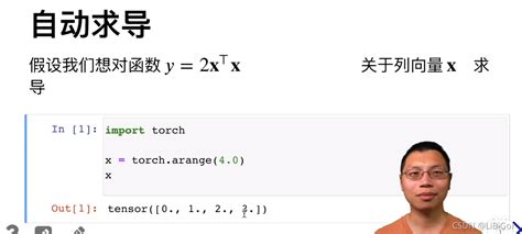 【pytorch神经网络基础理论篇】 06 自动求导 导数与微分 pytorch 关于参数的导数和输入值的导数 csdn博客