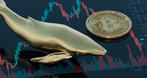 How To Follow Crypto Whales On Chain Data Analysis RockX