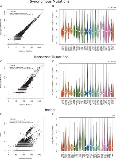 Optimizing Panel Based Tumor Mutational Burden TMB Measurement