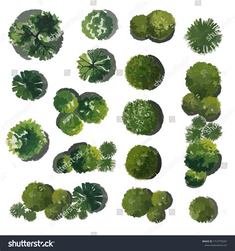 Set Watercolor Tree Top View Isolated стоковая иллюстрация 1712779291