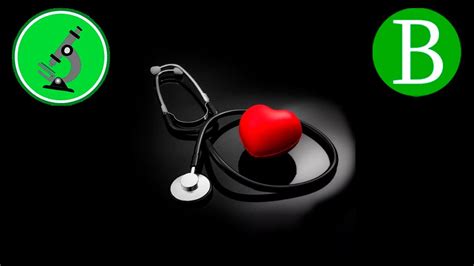 HABLEMOS SOBRE EL AMOR RADIO BIOLOGÍA DESDE CERO CON microterra