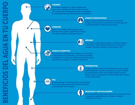 Beneficios de la hidratación Instituto de Investigación Agua y Salud