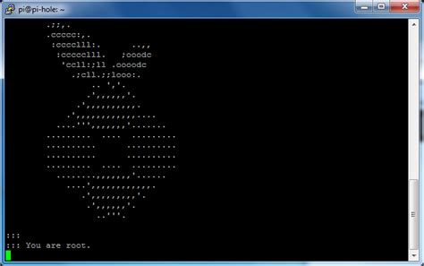 install pi hole pi hole ad detection display with pitft adafruit learning system