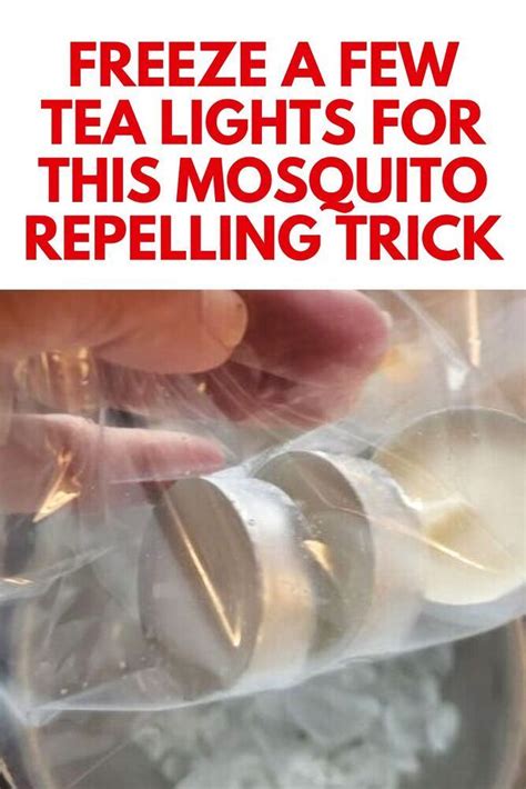 Easy DIY Homemade Natural Mosquito Repellent Natural Mosquito