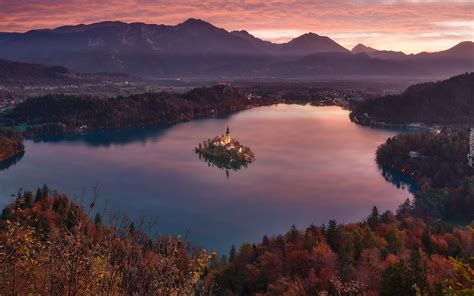 Wyspa Blejski Otok Na Jeziorze Bled Lake