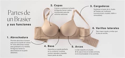 C Mo Saber Mi Talla De Brasier Gu A Completa Para Encontrar La Medida