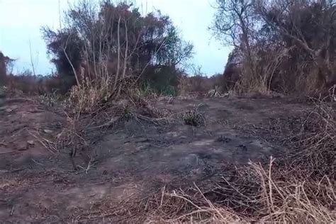 Macabro Hallazgo Encontraron Restos De Cuerpo Humano Quemado Elonce