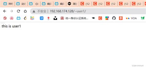 web服务器的搭建【centos7】 安装web服务器软件 搭建web服务器 ip地址设为 192 168 nn 15 使用端口为80 服 csdn博客