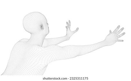130 Woman Body Wireframe Beautiful Naked Images Stock Photos 3D