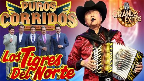 LOS TIGRES DEL NORTE MUSICA DE CORRIDOS PARA TI YouTube