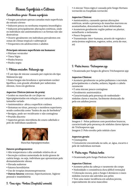 SOLUTION Micoses superficiais e cutâneas Micologia Studypool