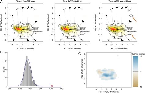 Diversity In Bird Traits Has Remained Relatively Stable Over The Past