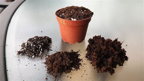 C Mo Preparar Tierra Para Germinar Huerto Villarreal Youtube