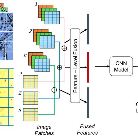 Flowchart Of The Proposed Convolutional Neural Network Cnn Based