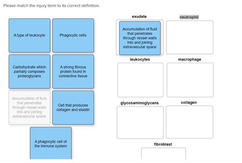 Solved Please Match The Iniurv Term To Its Correct Chegg