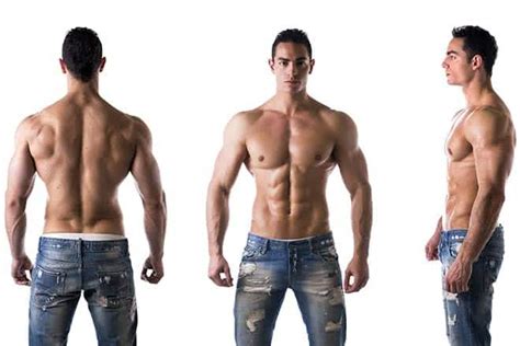 3 Principales Morphologies Avec Conseils Alimentation Entrainement